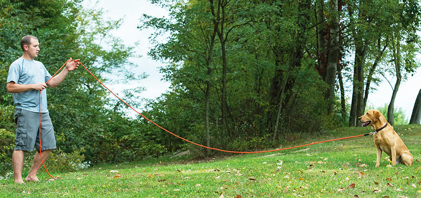 Check Cord & Training Leads – Terrain Dog