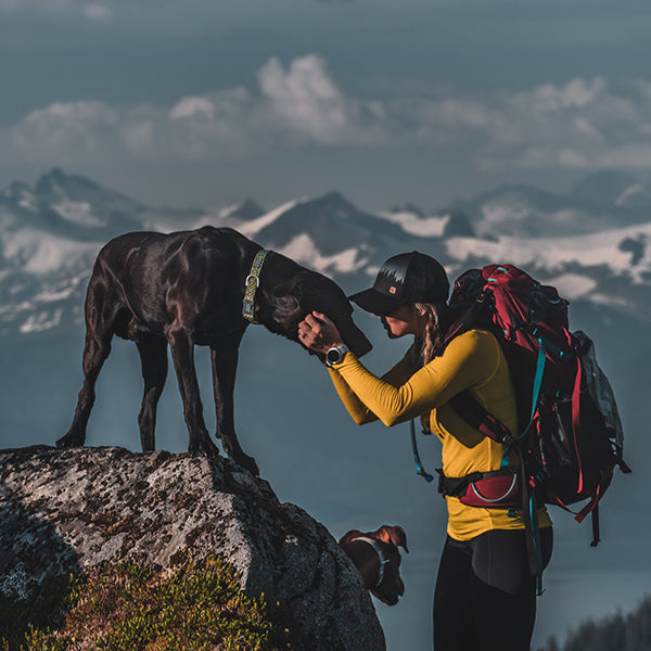 Elevation Air Snap-N-Go Dog Collar - Terrain D.O.G. – Terrain Dog