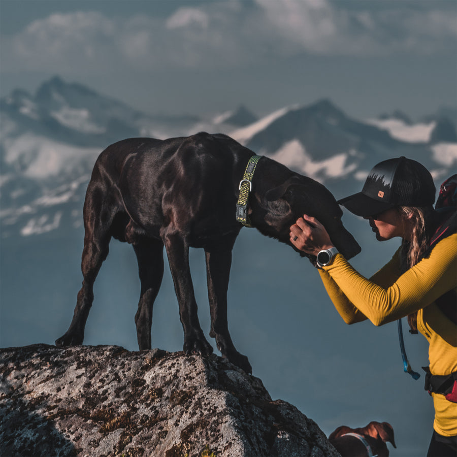 Elevation Air Snap-N-Go Dog Collar - Terrain D.O.G. – Terrain Dog